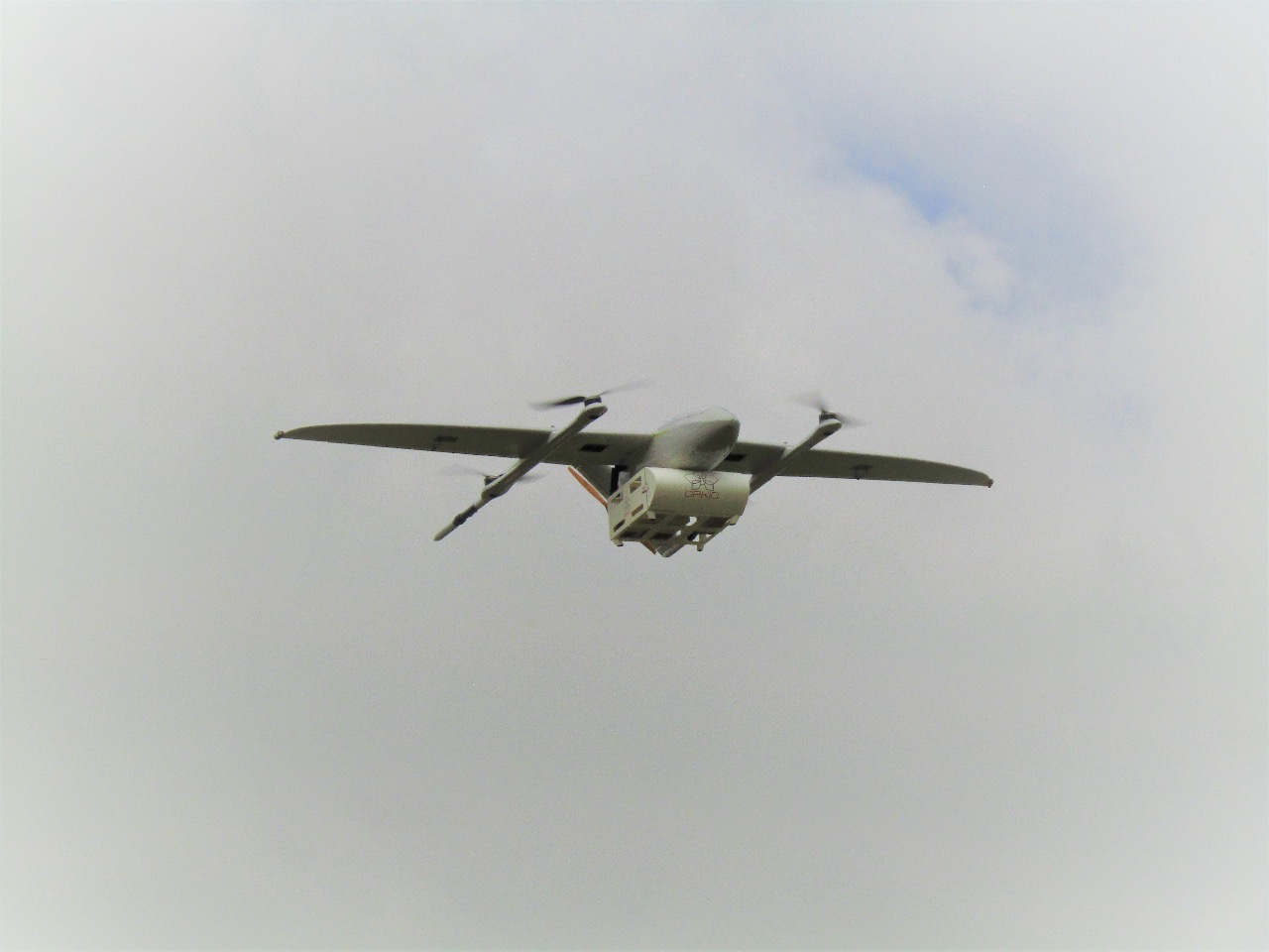 Flapz y ORKID anuncian alianza enfocada a la innovación en transporte ...