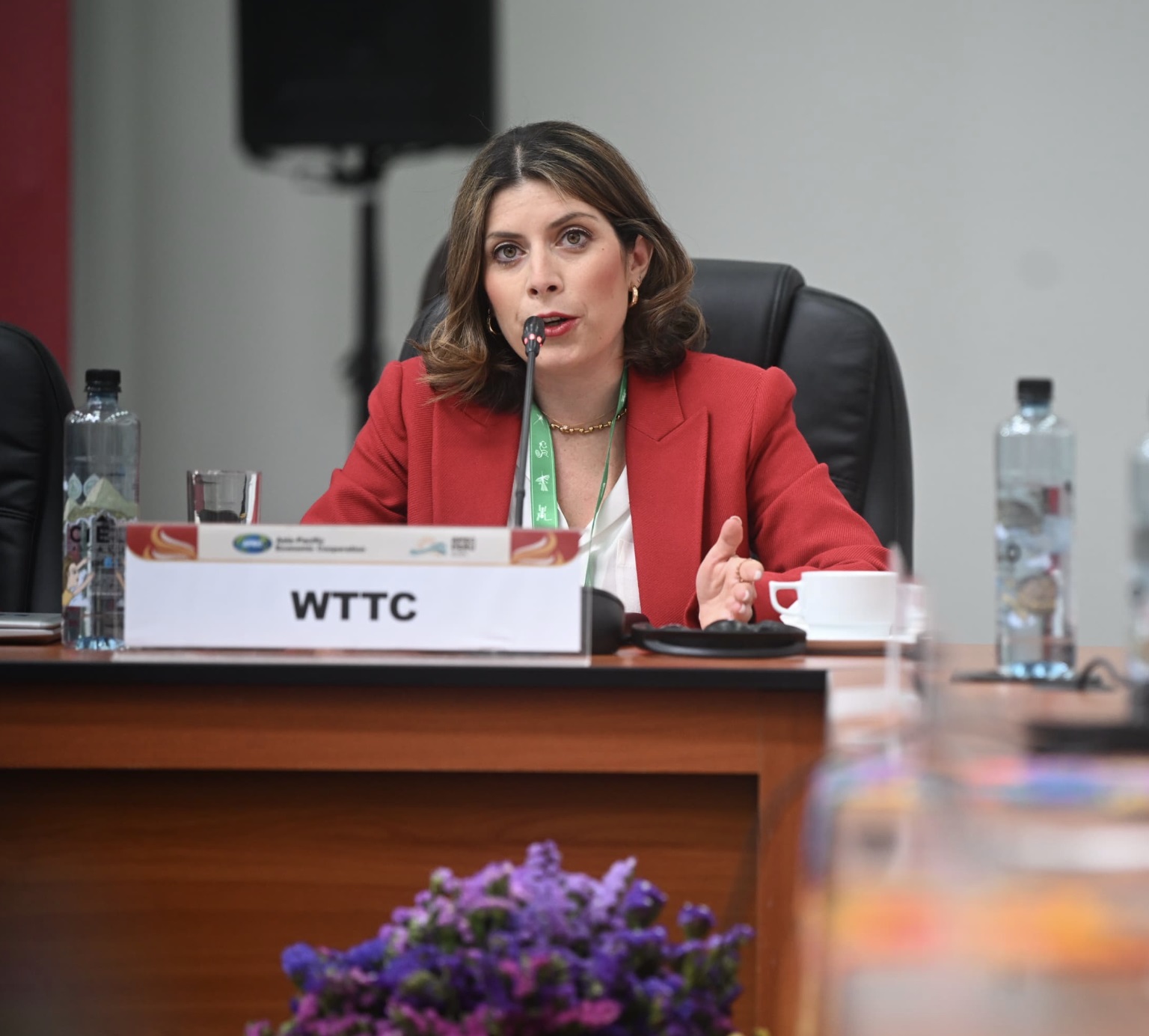 WTTC en la 12ª reunión ministerial de turismo de APEC - AeroErmo